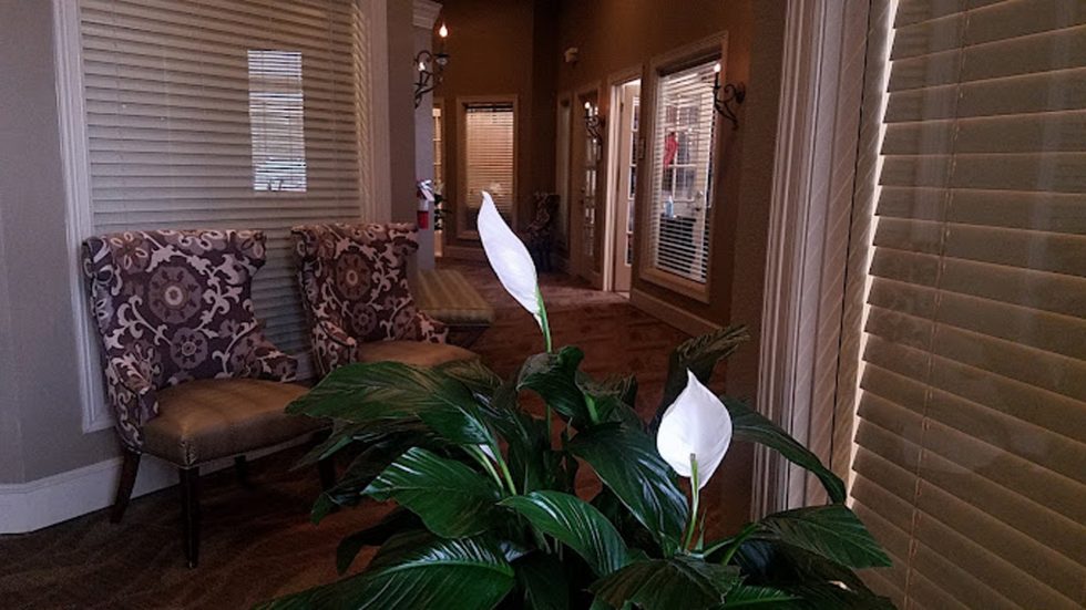 Home | Bling Brows & Best Microblading & Permanent Makeup In Plano ...